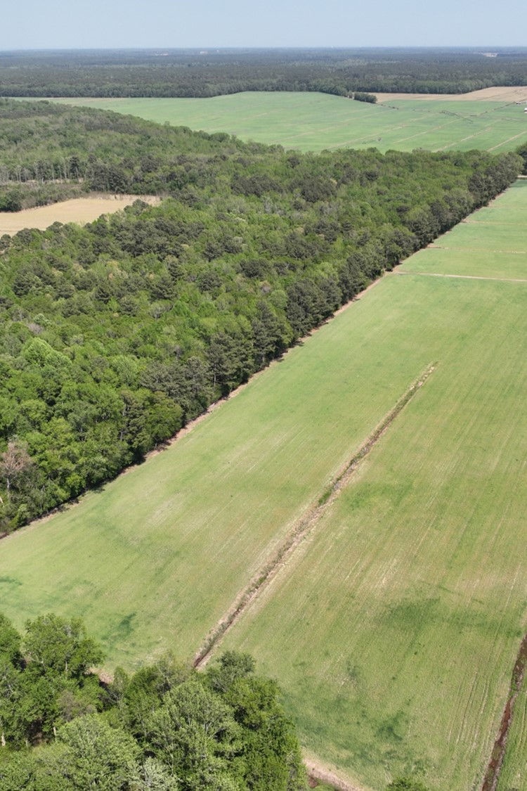 Our History – Delaware Wild Lands