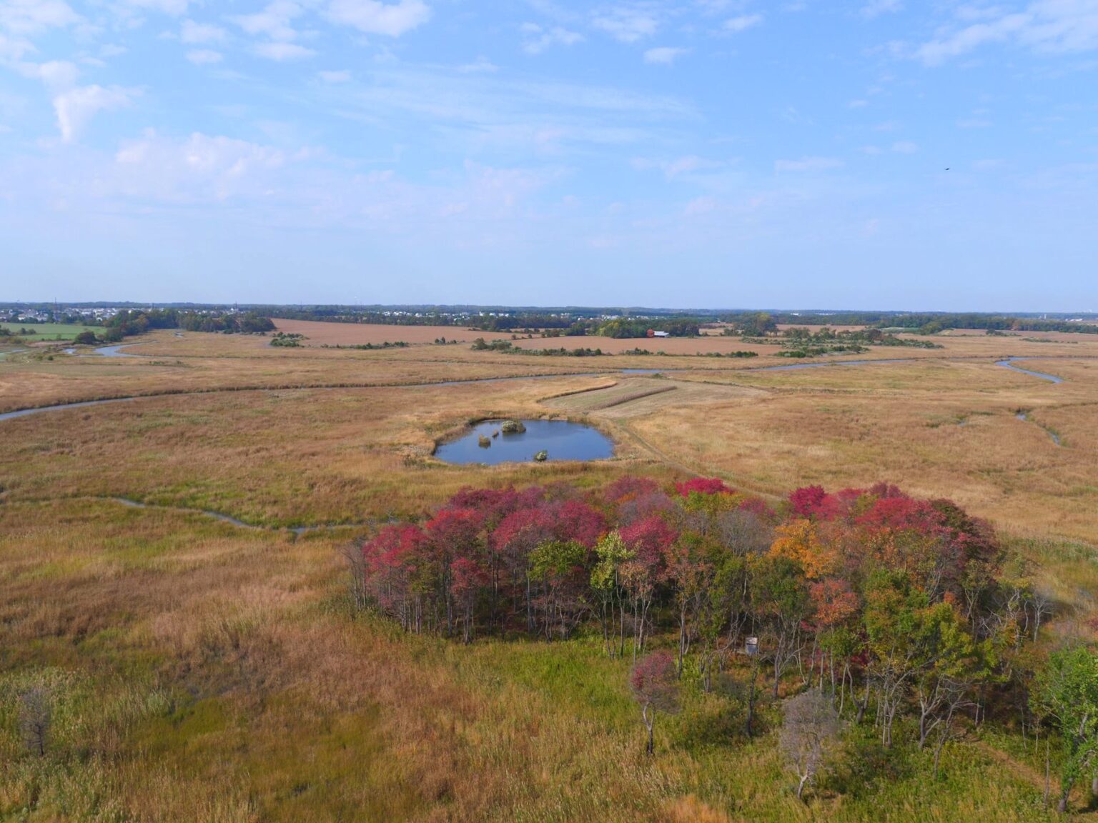 Our History – Delaware Wild Lands