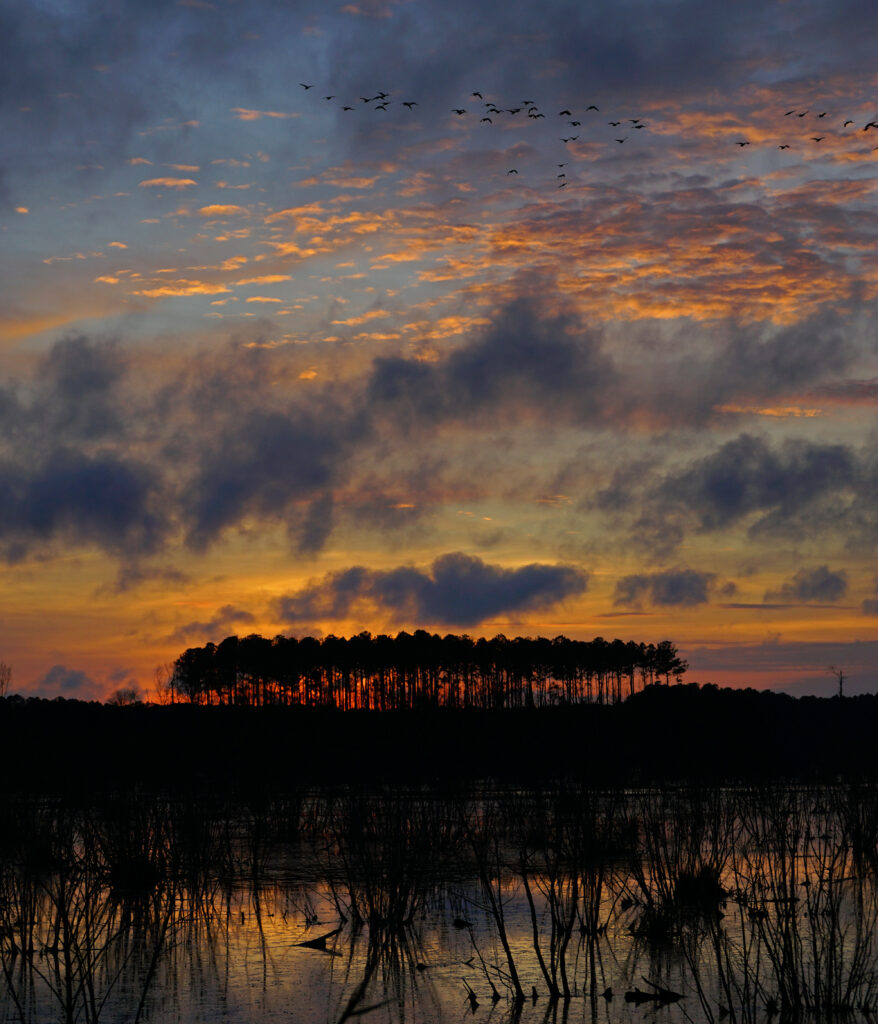 Our History – Delaware Wild Lands